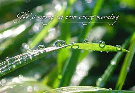 ‘Morning Dew’ – Inspirational thoughts from everyday life