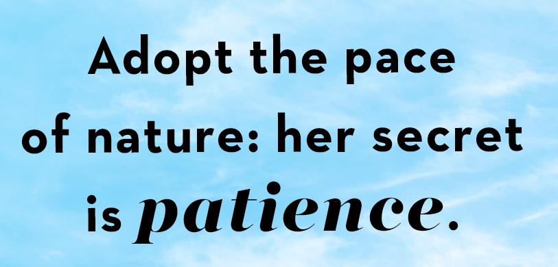 ‘Find Your Pace’ – Inspirational thoughts from everyday life