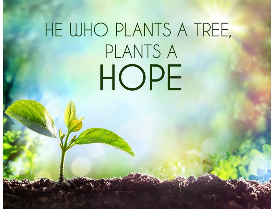 ‘Plant For Tomorrow’ – Inspirational thoughts from everyday life