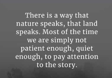 ‘Let Nature Speak’ – Inspirational thoughts from everyday life