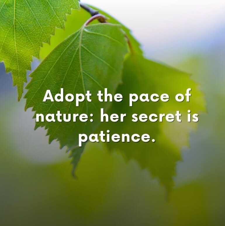 ‘Let Nature Speak’ – Inspirational thoughts from everyday life