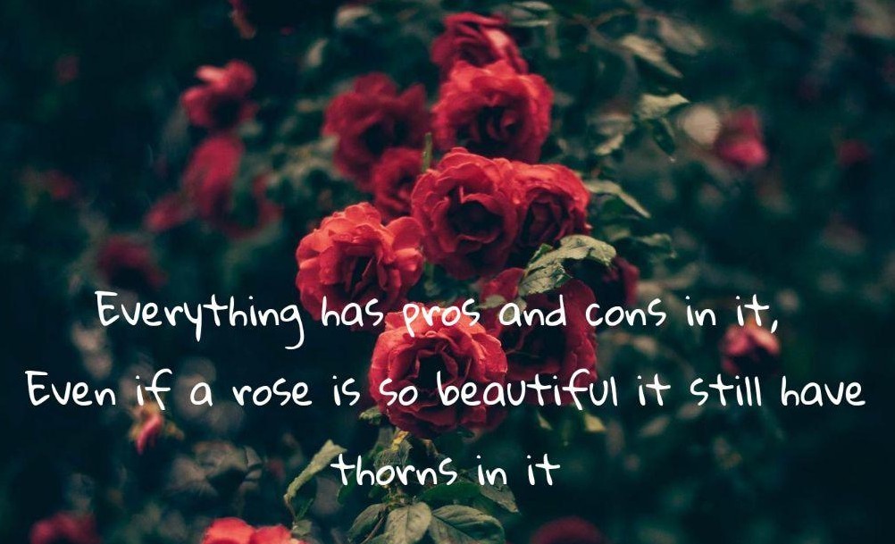 ‘The Pros And Cons’ – Inspirational thoughts from everyday life