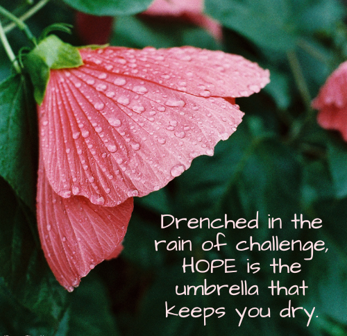 ‘Living With Hope’ – Inspirational thoughts from everyday life